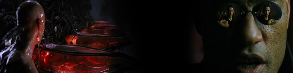 Who Are You - Curv Studios